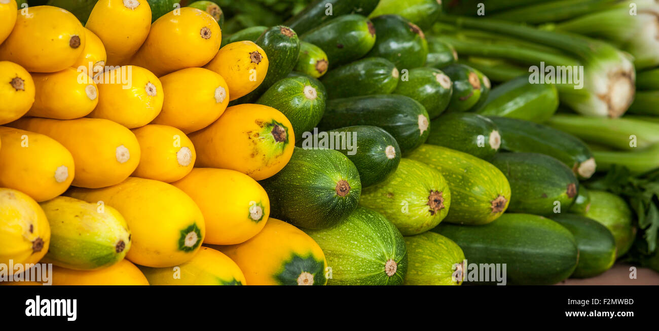 rows of yellow squash zucchini market setting Stock Photo - Alamy