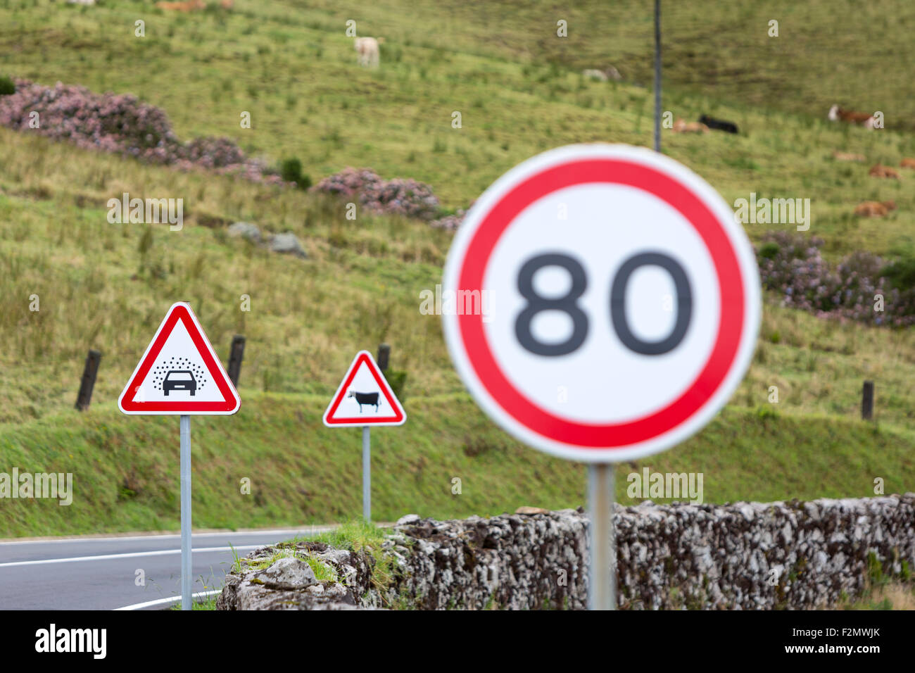Low visibility signal superposed with other traffic signals in Flores ...