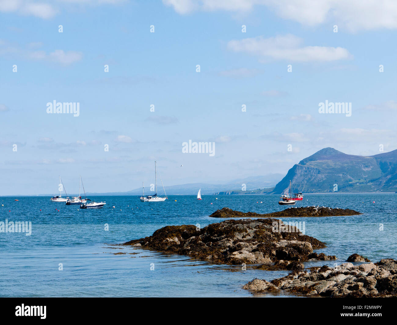 Morfa Stock Photos & Morfa Stock Images - Alamy