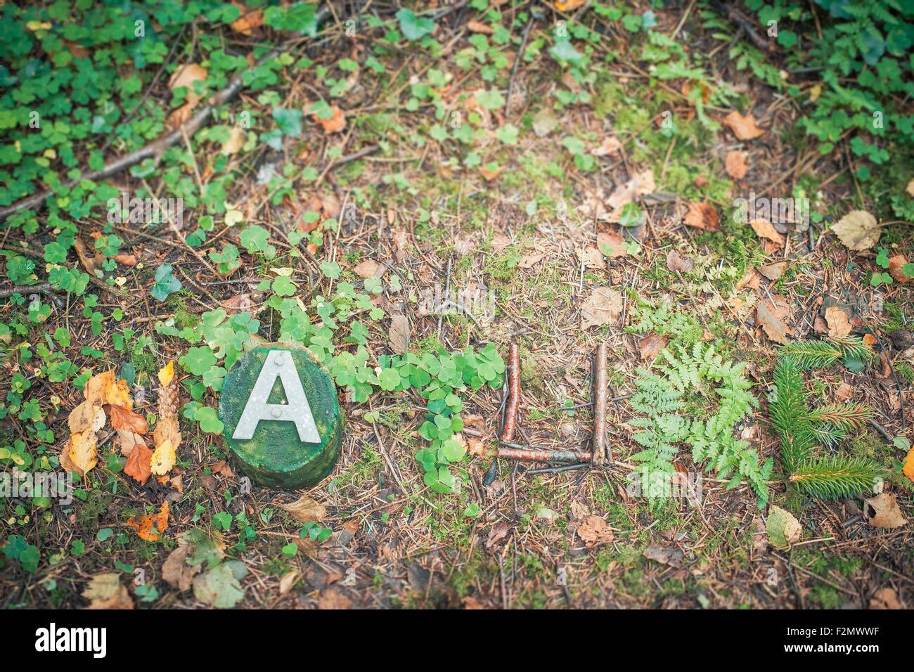 Words Nature Written Autumn Leaves High Resolution Stock Photography ...