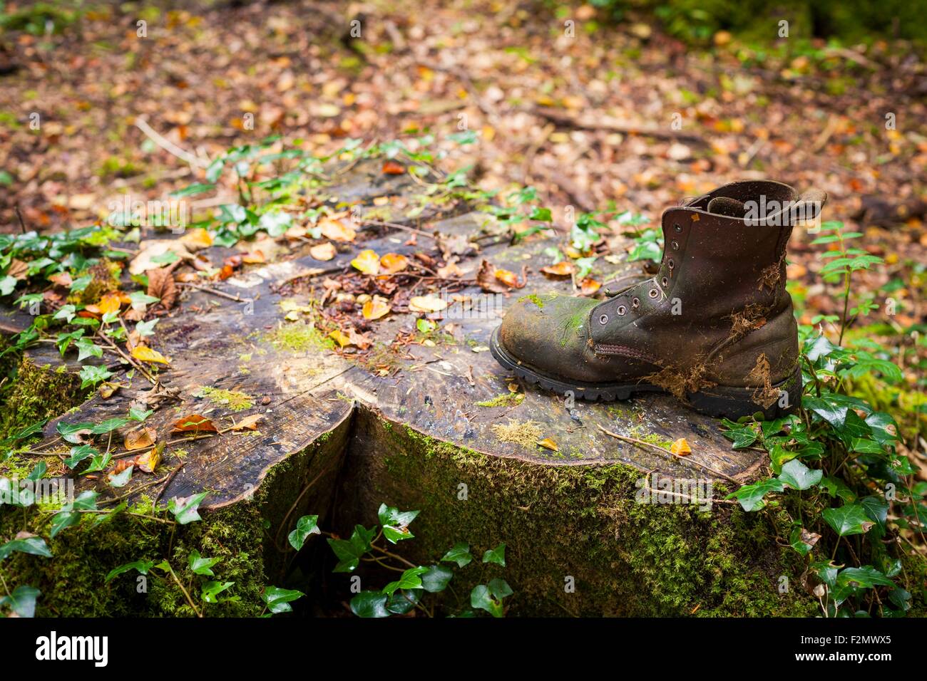 Abandoned old boot hi-res stock photography and images - Alamy