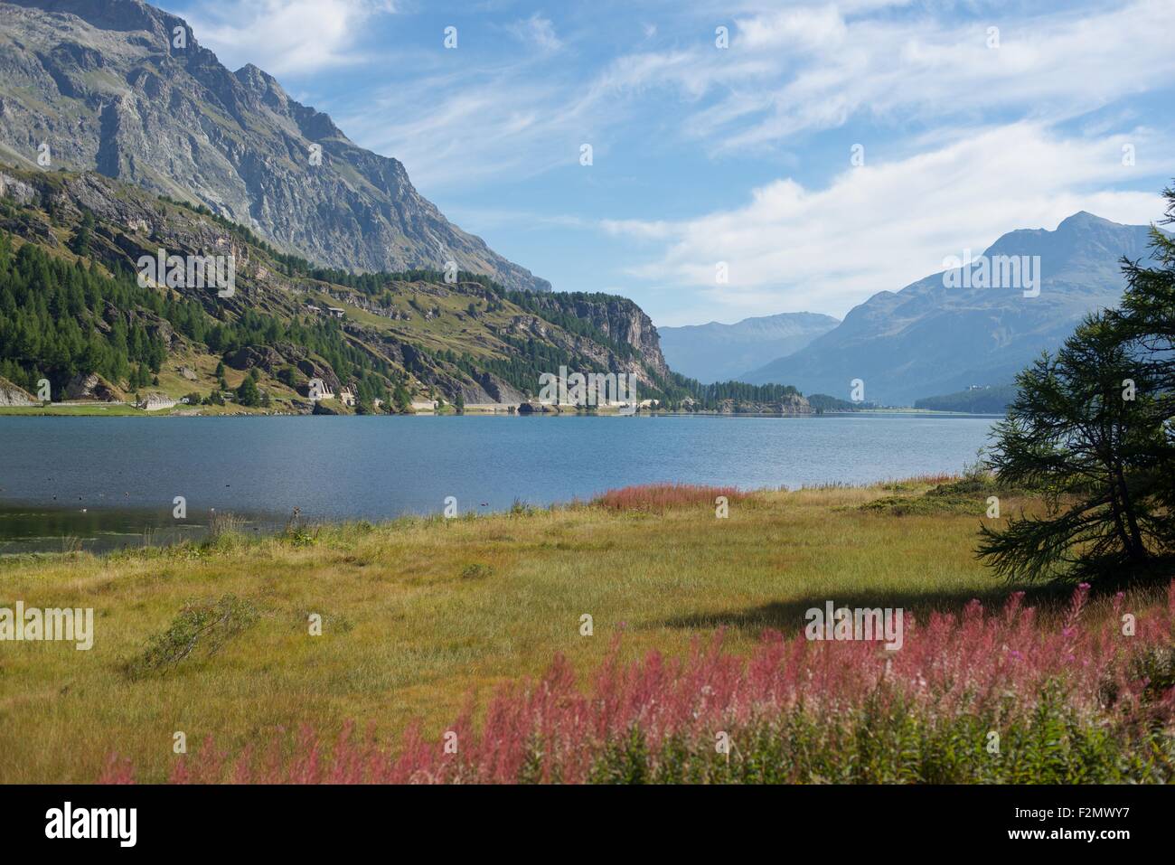 View of Silsersee, Graubunden, Switzerland Stock Photo - Alamy