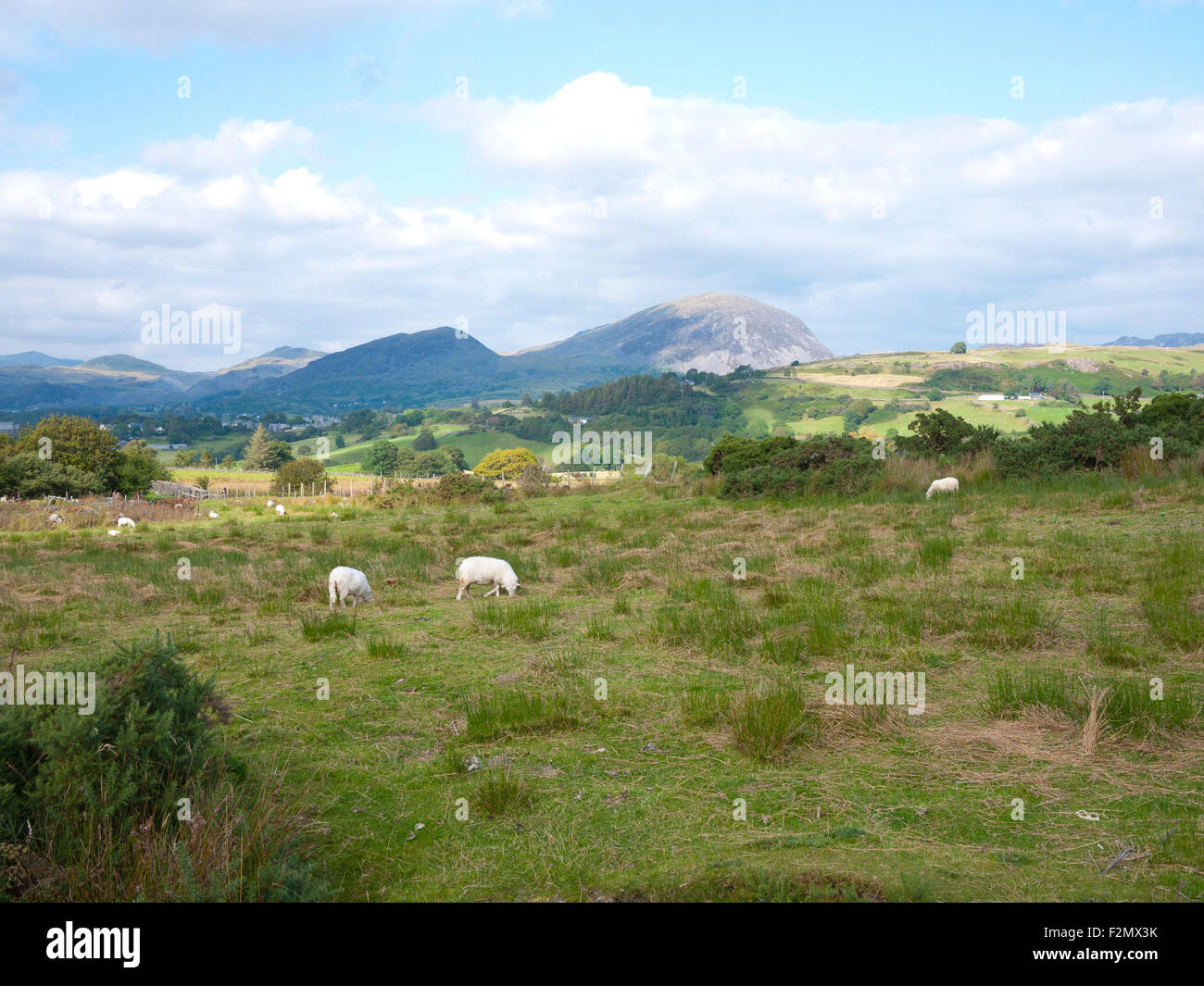North Wales countryside looking towards Snowdonia, North Wales, UK ...