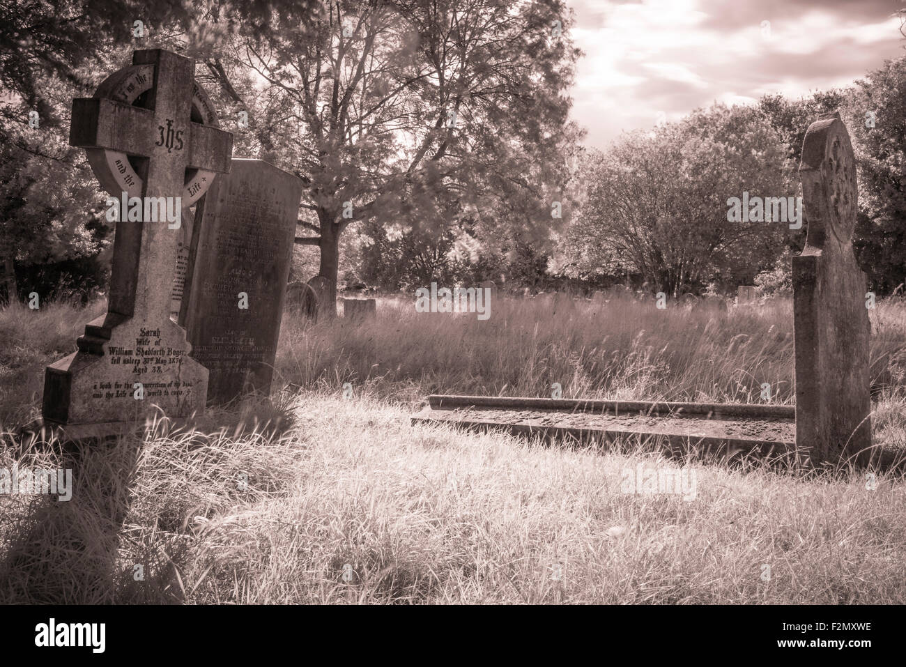 Infrared photo of Kingston-upon-Thames Cemetery Stock Photo - Alamy