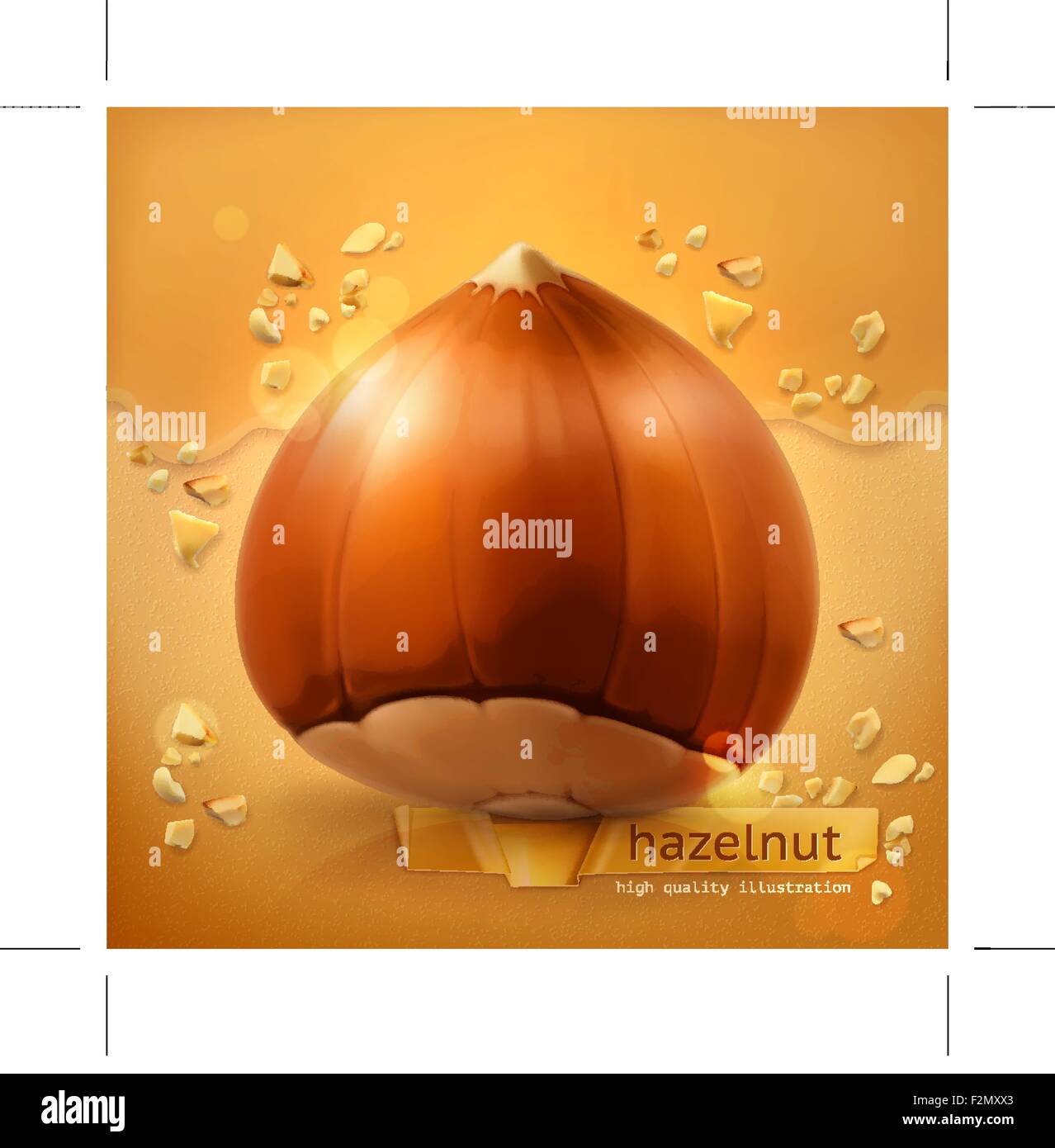 Hazelnut, vector background Stock Vector Image & Art - Alamy