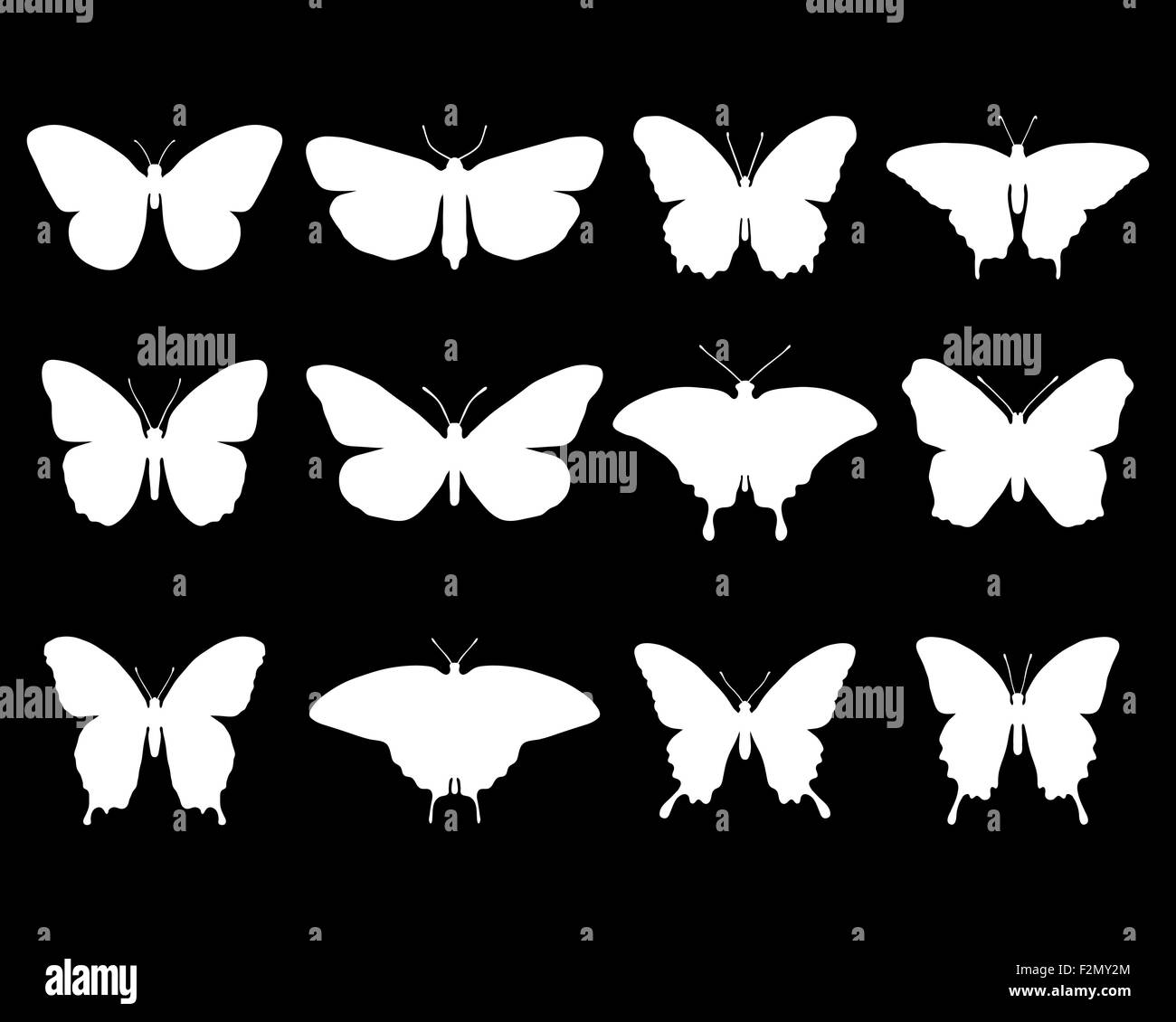 And white butterflies Black and White Stock Photos & Images - Alamy