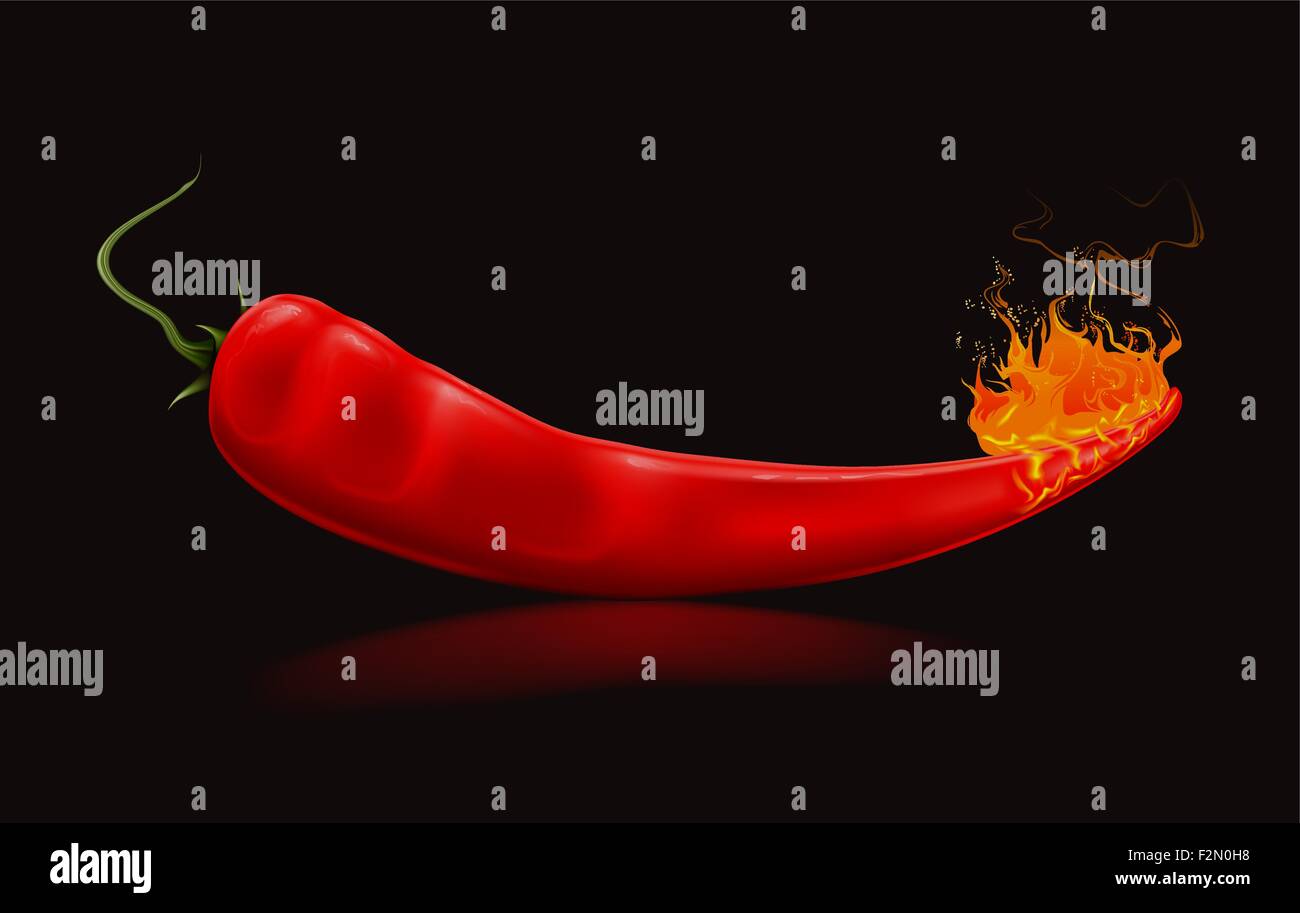 Burning pepper in black, vector illustration Stock Vector Image & Art ...