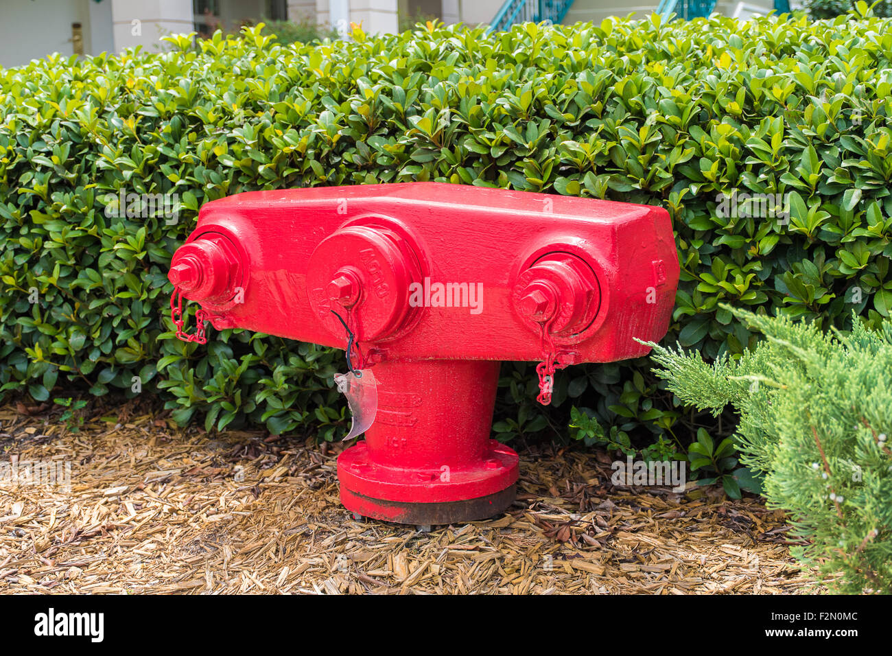 Building fire hydrant hi-res stock photography and images - Alamy