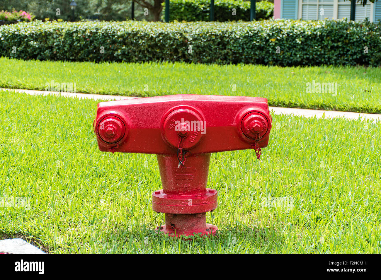 Red American fire hydrant Stock Photo - Alamy