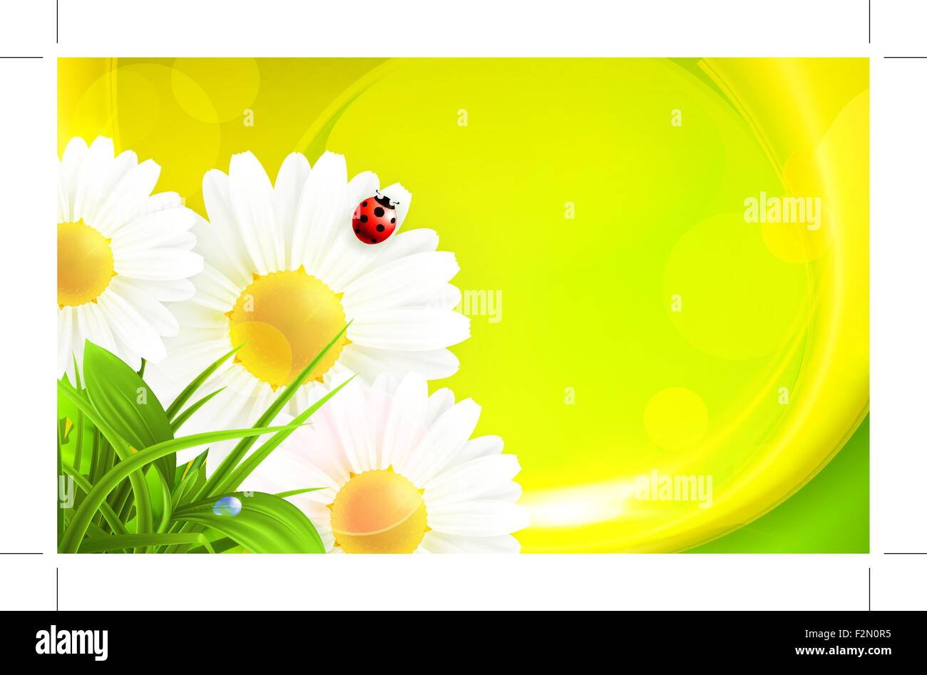 Daisy vectors Cut Out Stock Images & Pictures - Alamy