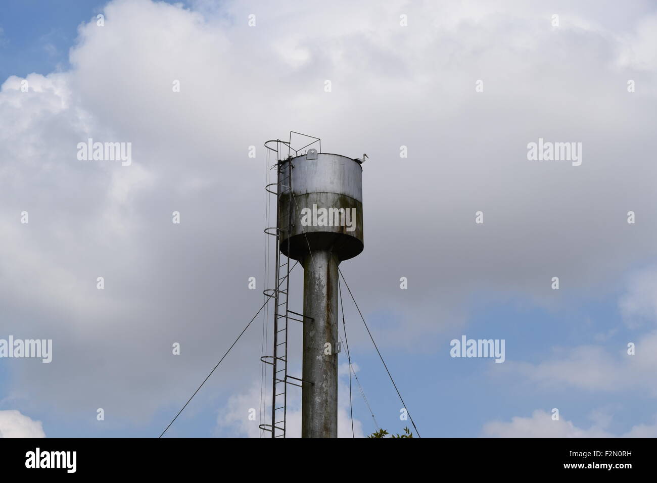 Stork on a roof of a water tower. Stork nest Stock Photo - Alamy