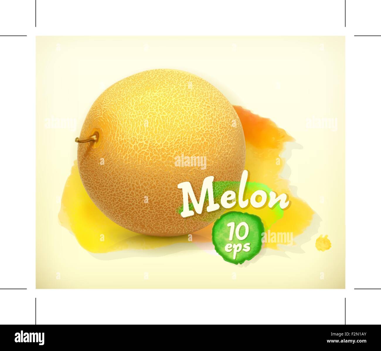 Melon, vector illustration Stock Vector Image & Art - Alamy