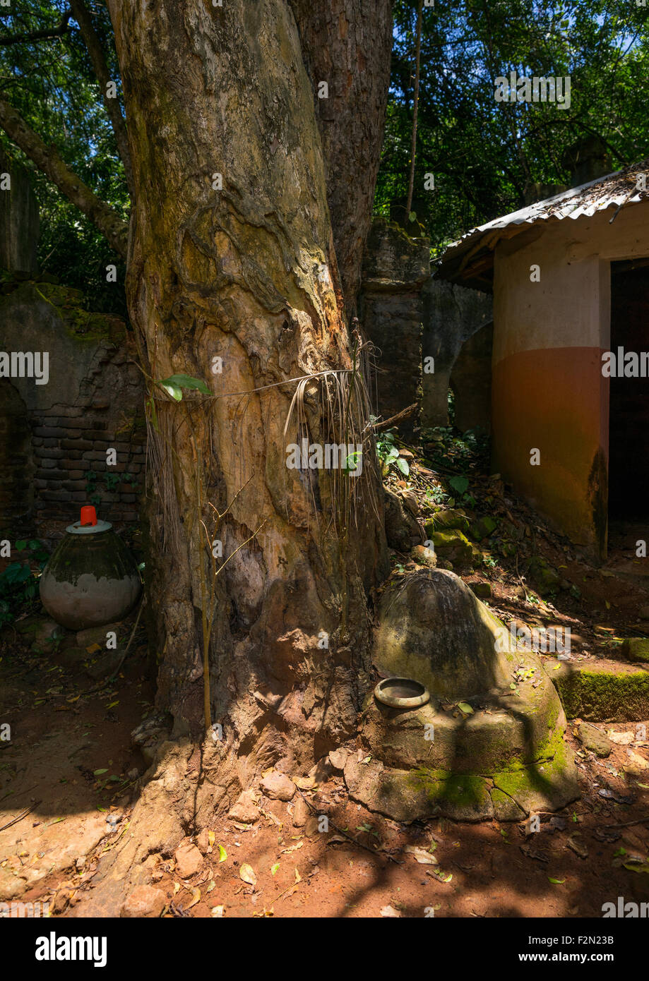 Benin, West Africa, Ouidah, sacred forest of kpasse Stock Photo - Alamy
