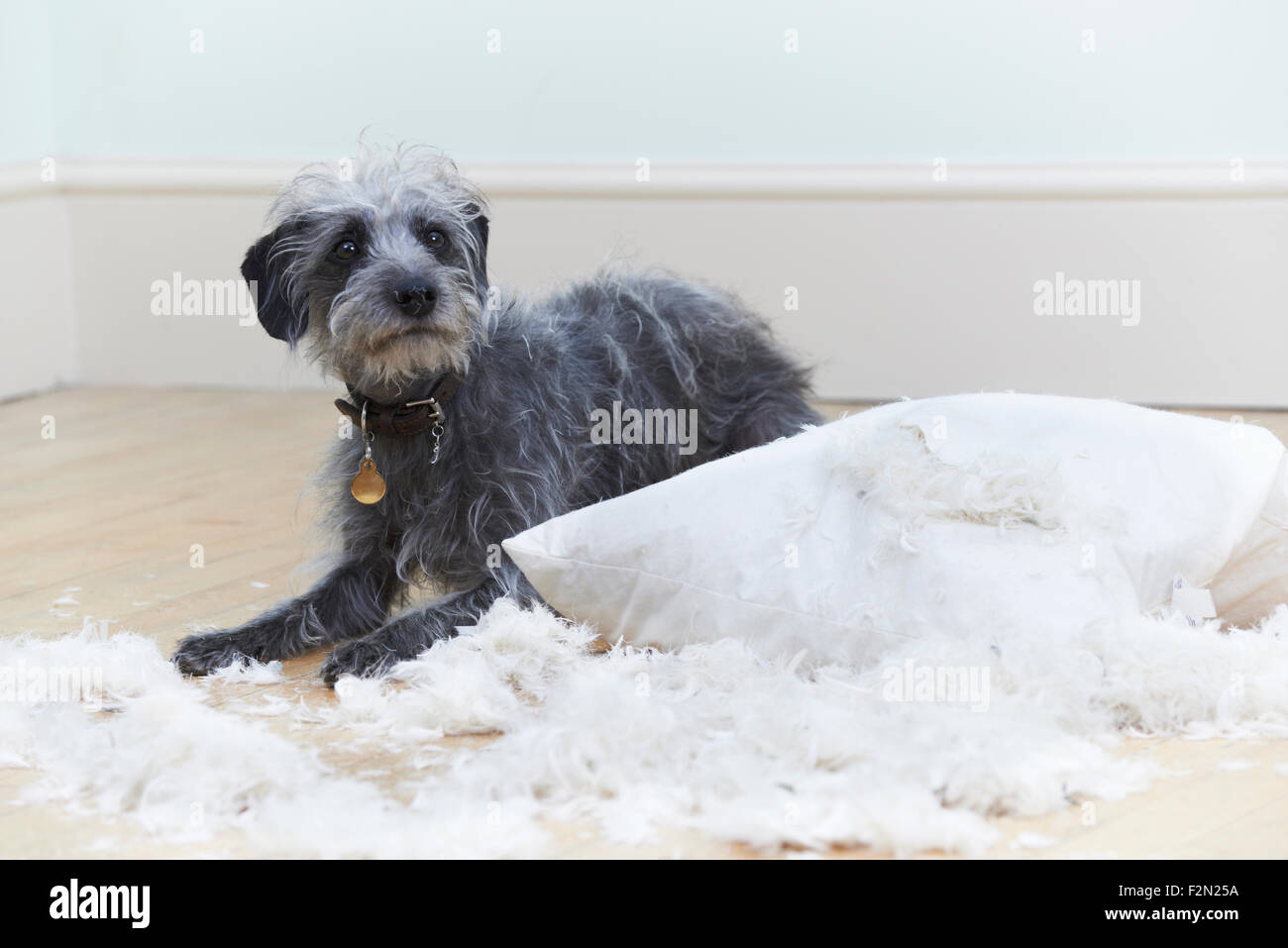 Badly behaved class hi-res stock photography and images - Alamy