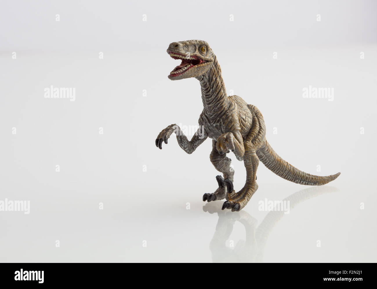 Gray dinosaur toy isolated on white Stock Photo - Alamy