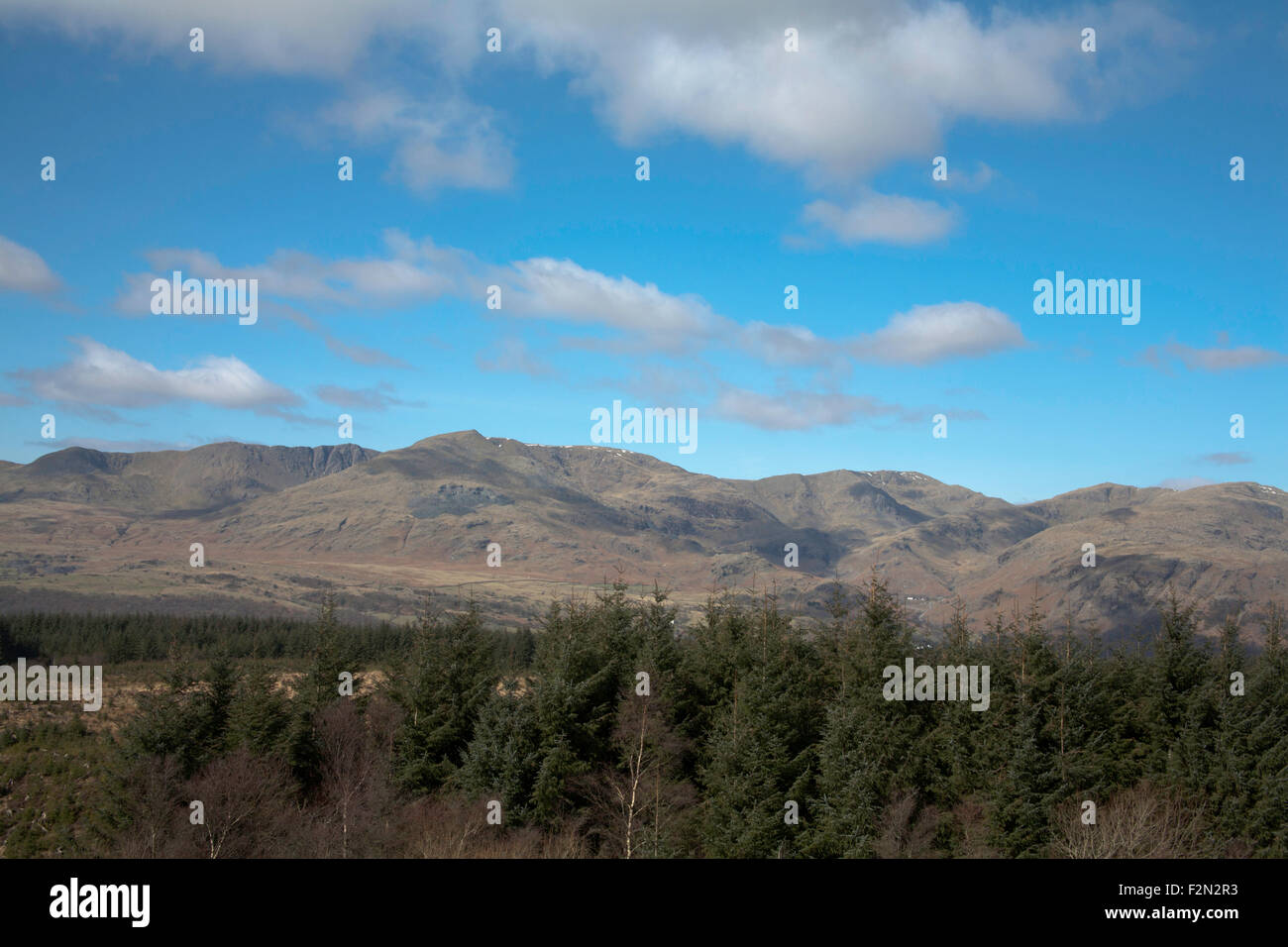 The Old Man of Coniston and Wetherlam from Carron Crag Grizedale Forest ...