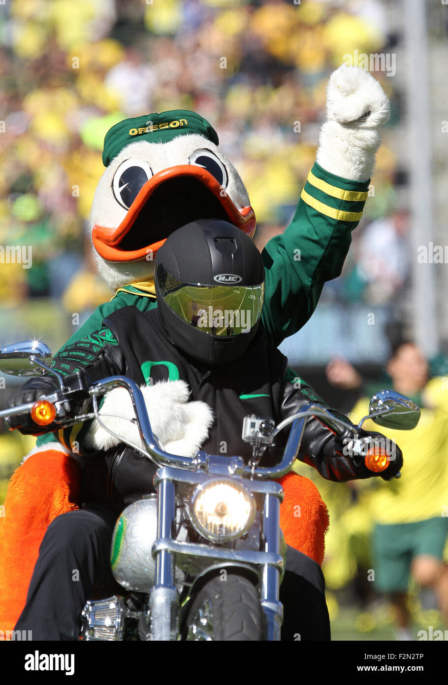 Autzen Stadium, Eugene, OR, USA. 19th Sep, 2015. The Oregon Duck gets ...