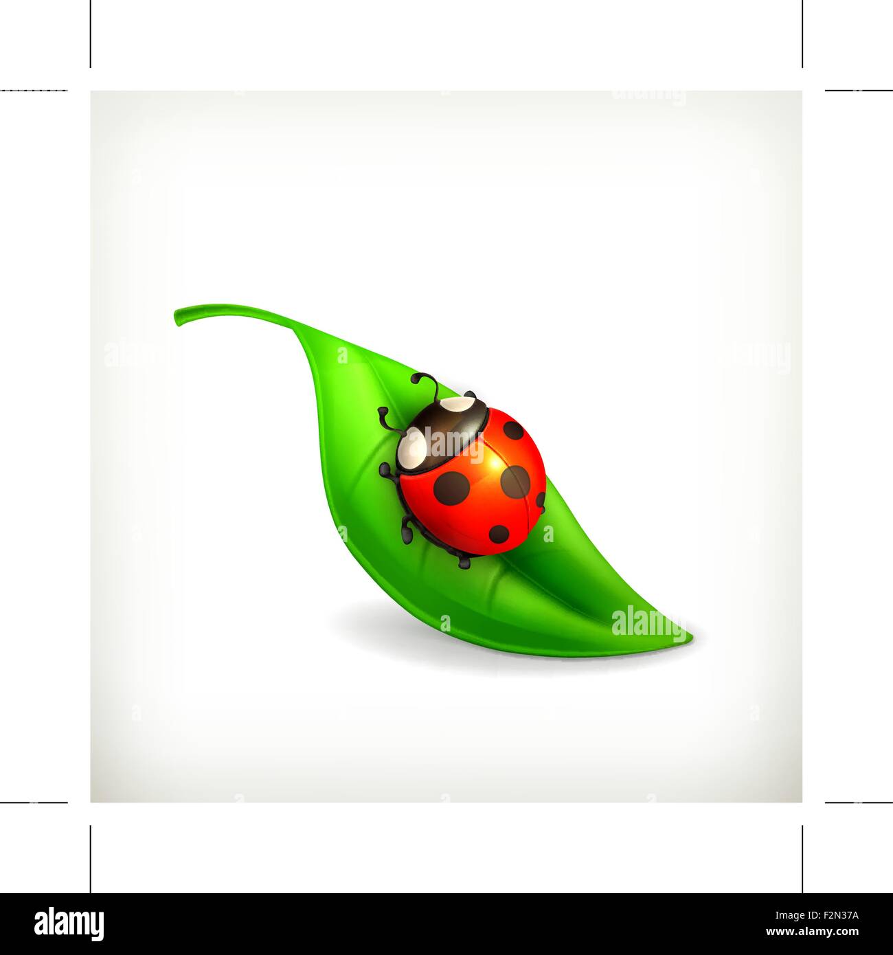 Insect crawling on green leaf Stock Vector Images - Alamy