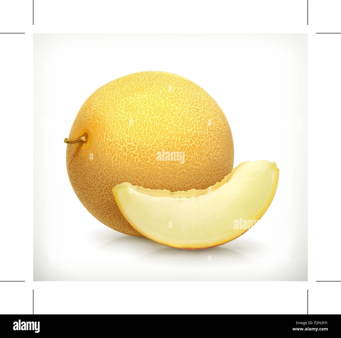 Melon, vector icon Stock Vector Image & Art - Alamy
