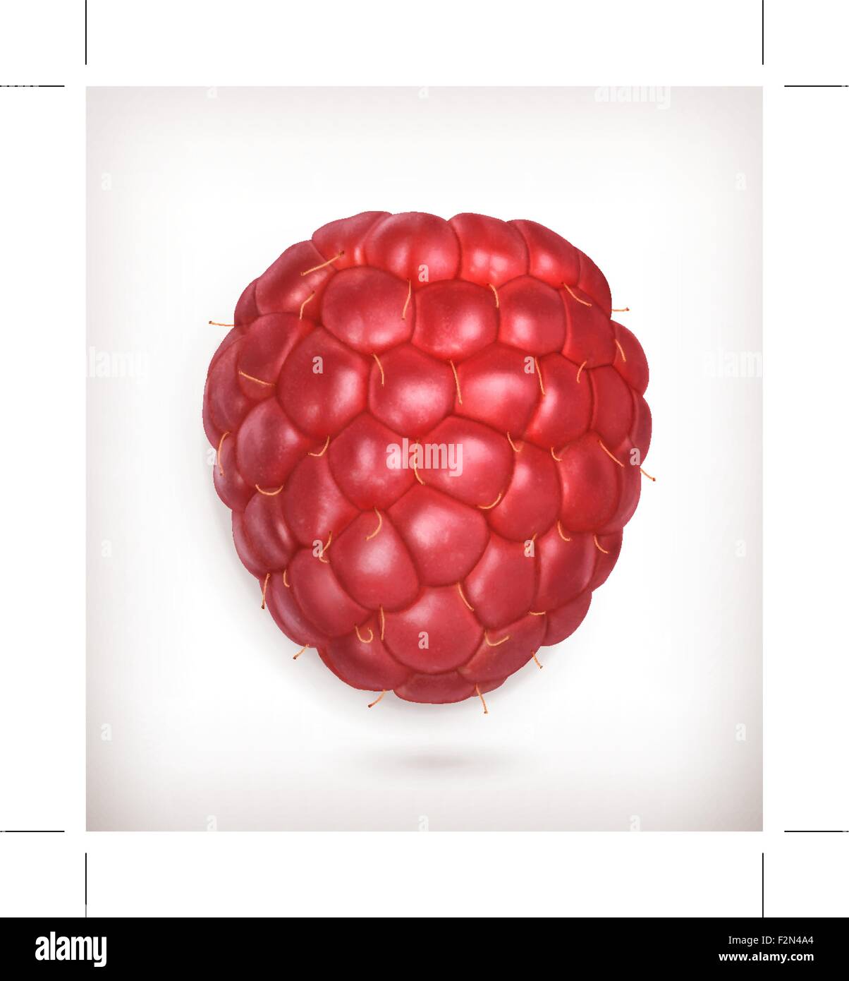 Raspberry, vector high quality Stock Vector Image & Art - Alamy