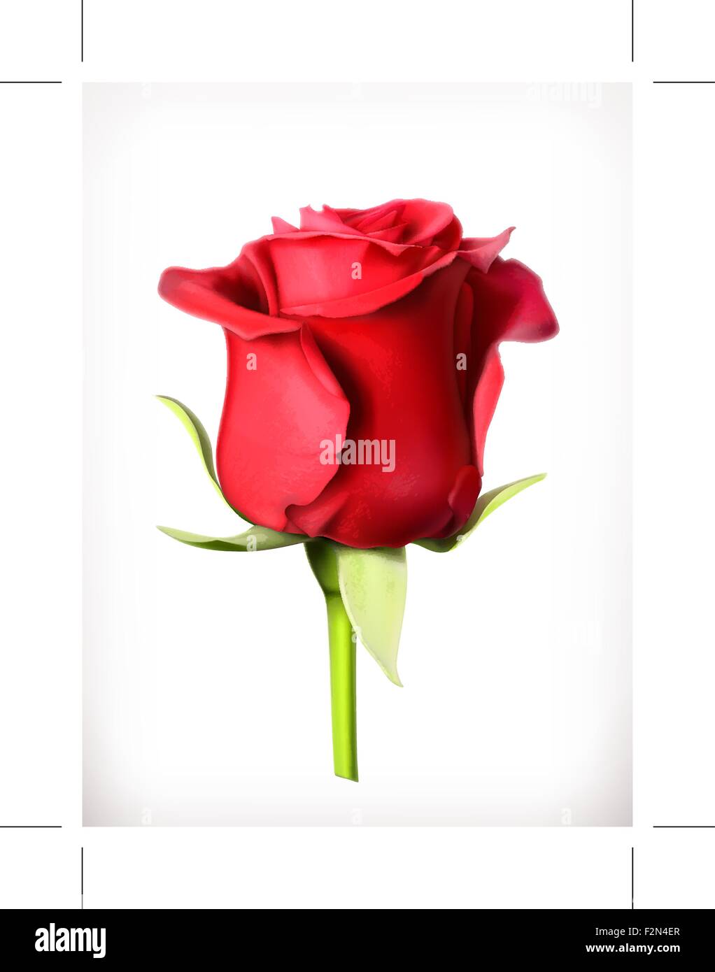 Red rose vector illustration Stock Vector Image & Art - Alamy