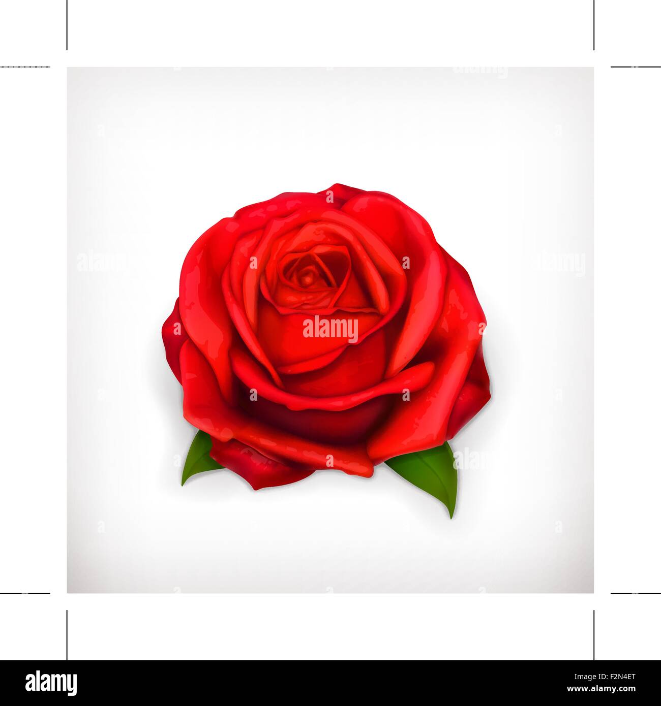 Red rose vector Stock Vector Image & Art - Alamy