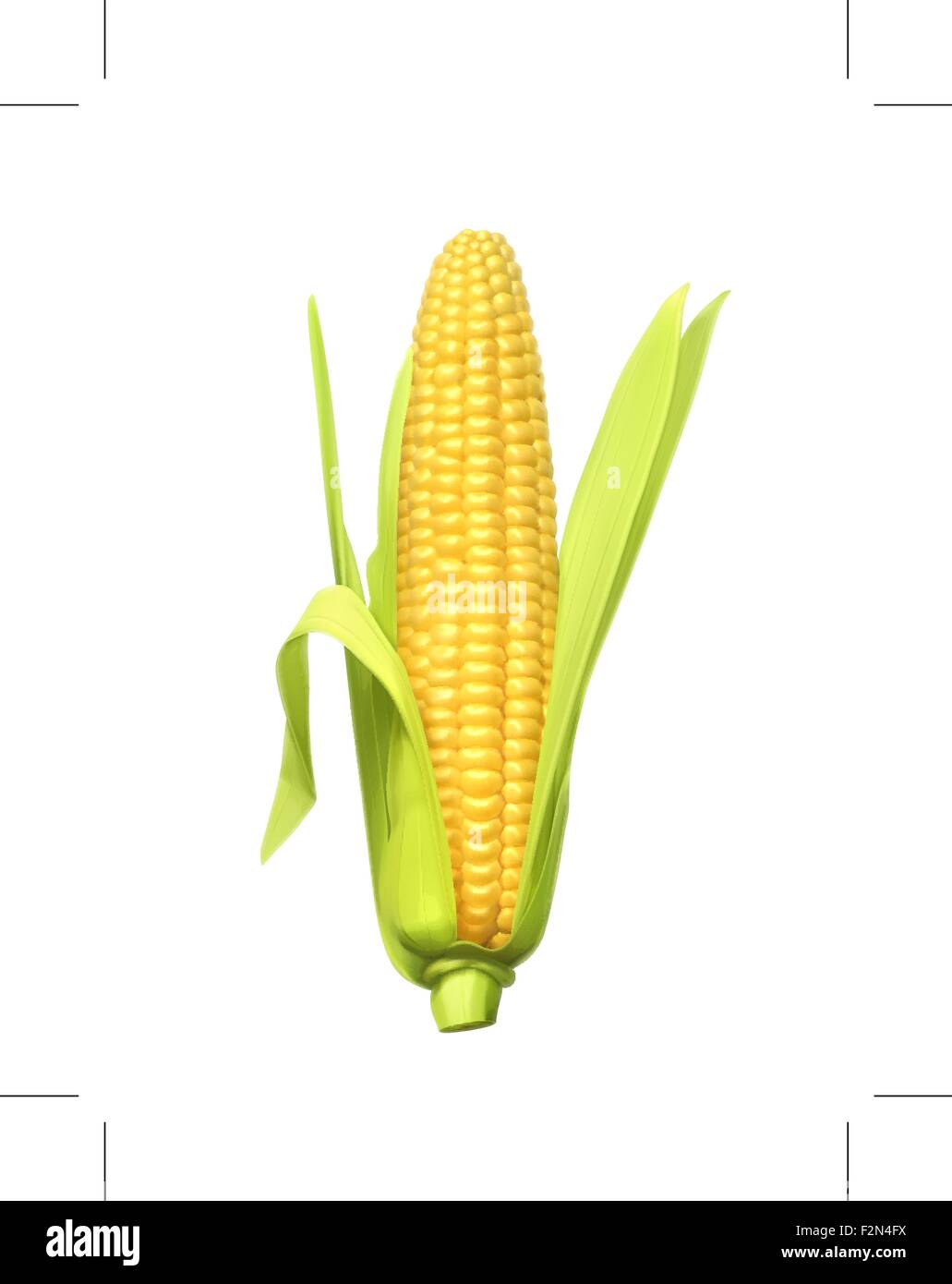 Ear of corn vector vectors hi-res stock photography and images - Alamy
