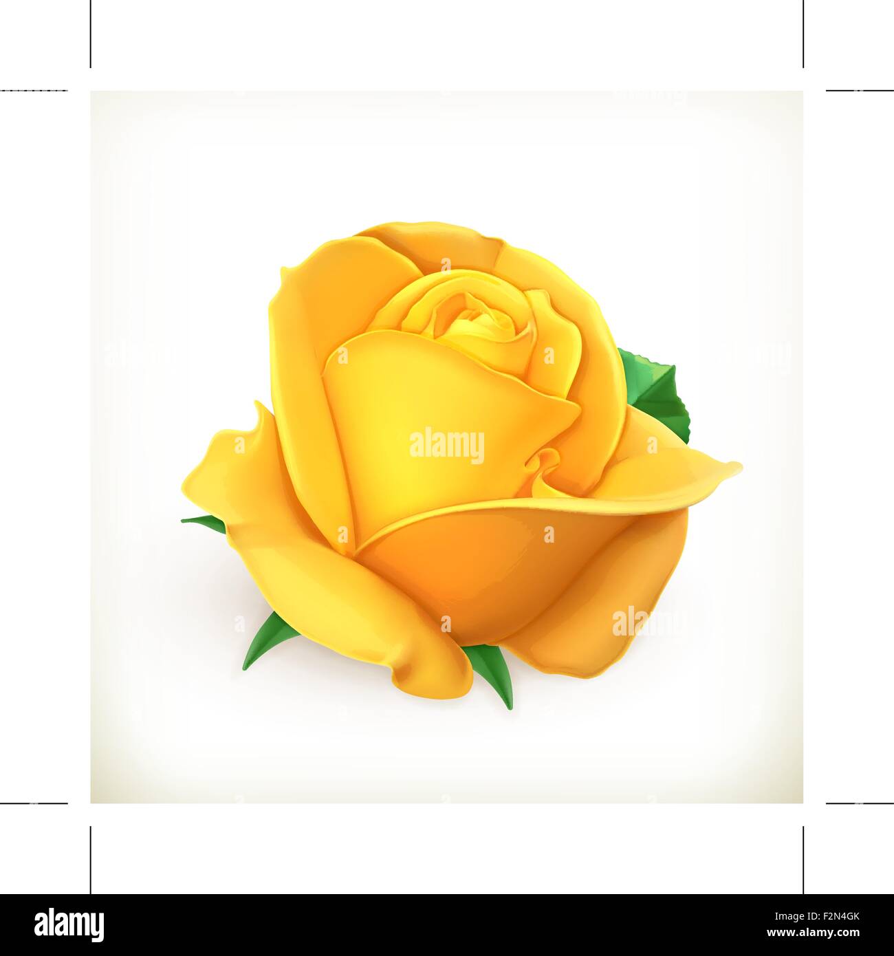 Rose flower, vector illustration Stock Vector Image & Art - Alamy