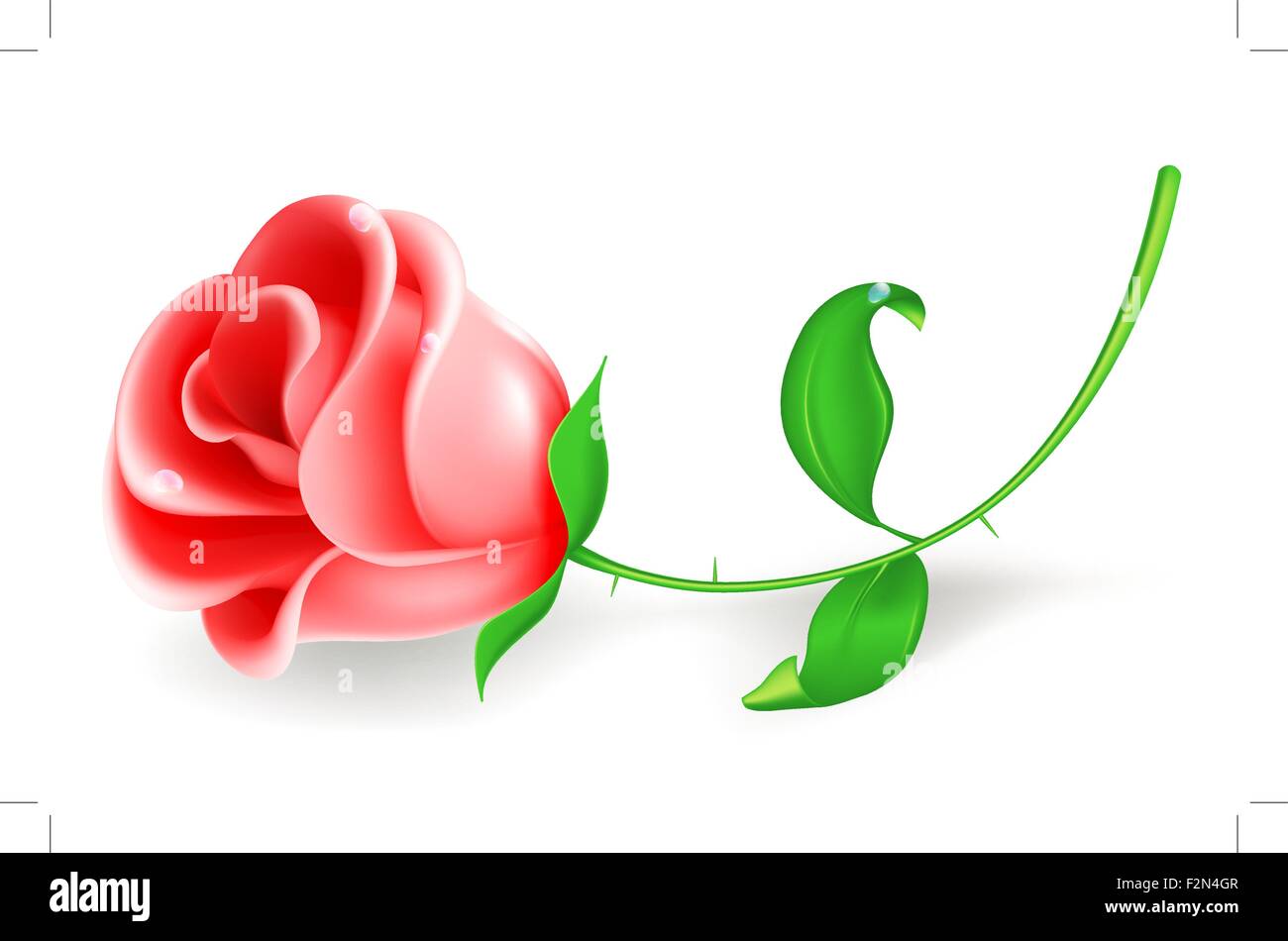 Beautiful close up rose Stock Vector Images - Alamy