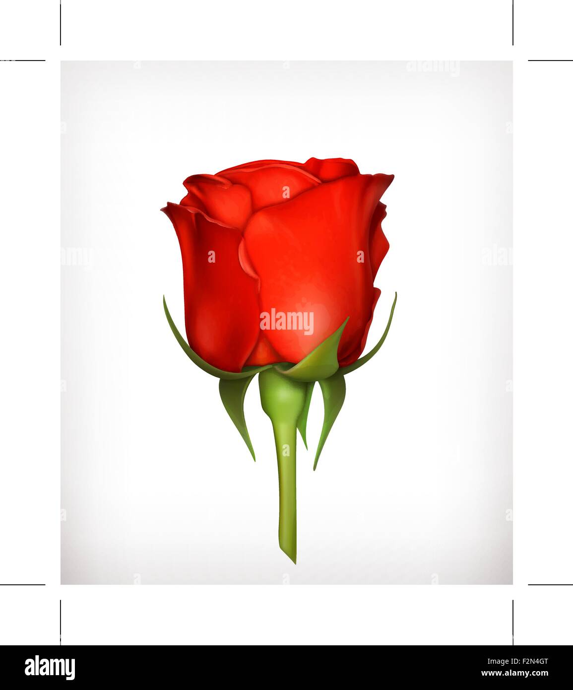 Red rose vector Stock Vector Image & Art - Alamy