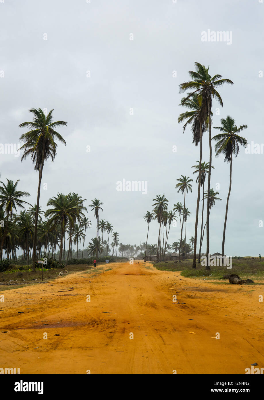 Benin, West Africa, Ouidah, ouidah cotonou road on the slave coast ...
