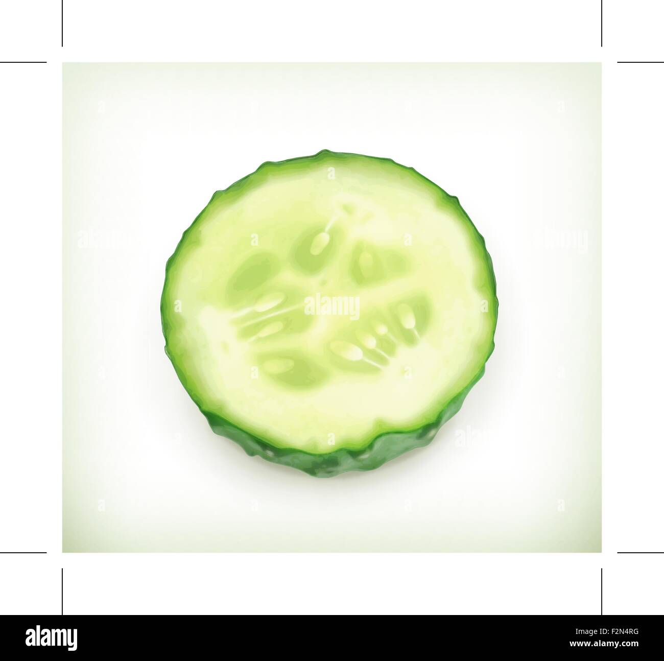 Slice of cucumber, vector Stock Vector Image & Art - Alamy