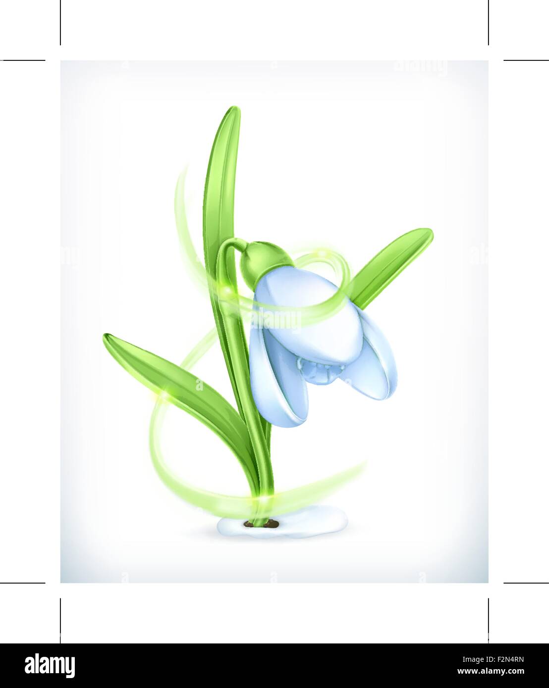 Snowdrop vector vectors Cut Out Stock Images & Pictures - Alamy
