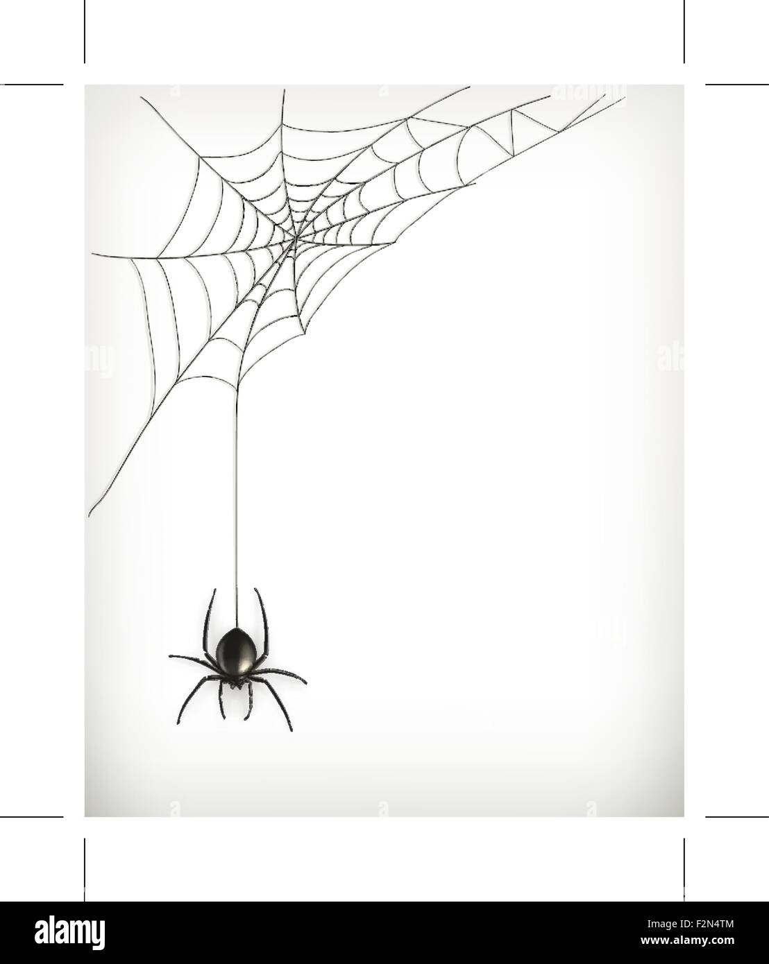 Spider web vector Stock Vector Image & Art - Alamy
