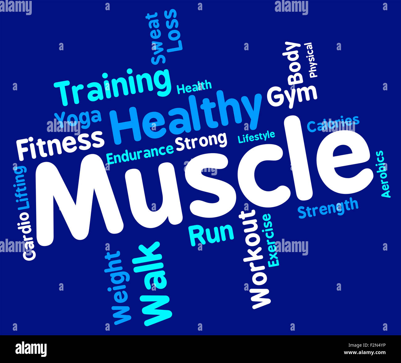 Muscle Words Showing Weight Lifting And Workout Stock Photo - Alamy