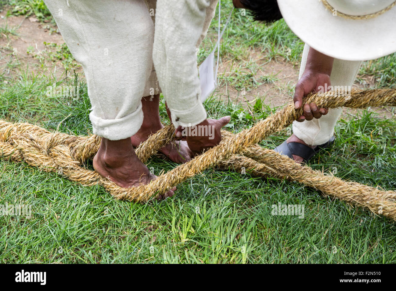 Peruvians Weaving the Rope for the Q'eswachaka Bridge,a traditional ...