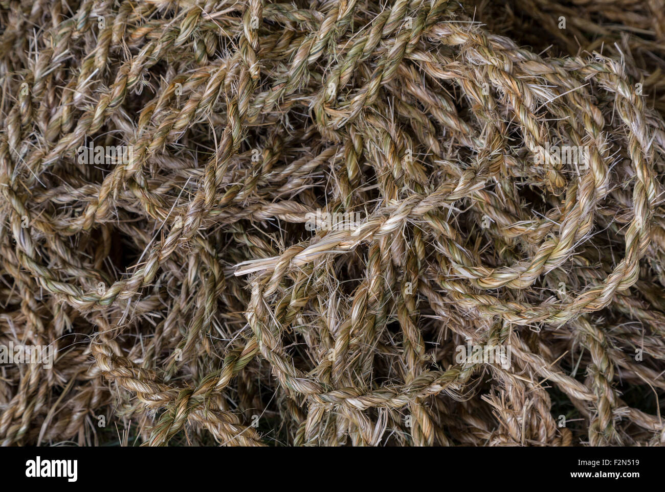 Latin america qeswachaka quechua hi-res stock photography and images ...