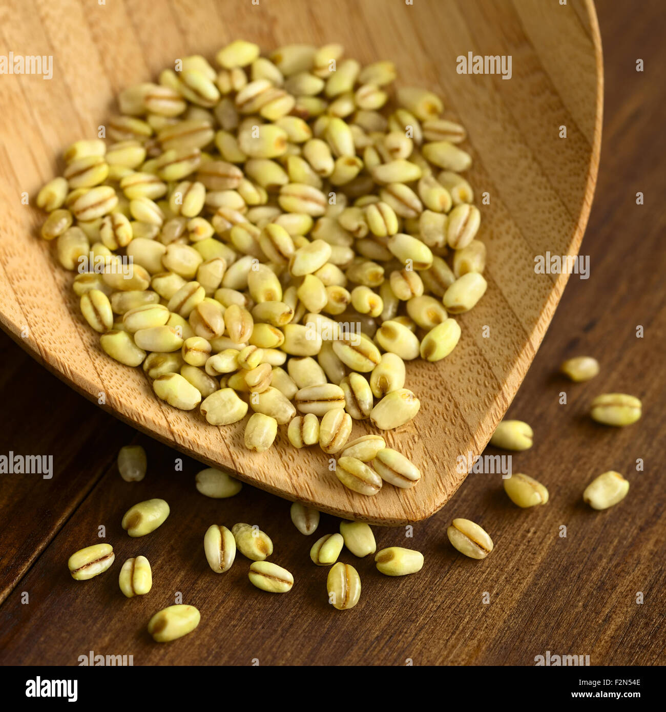 Trigo Mote boiled and husked wheat grain, commonly used in the South ...