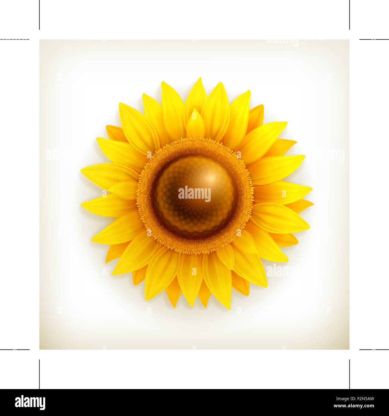 Sunflower vector Stock Vector Images - Alamy