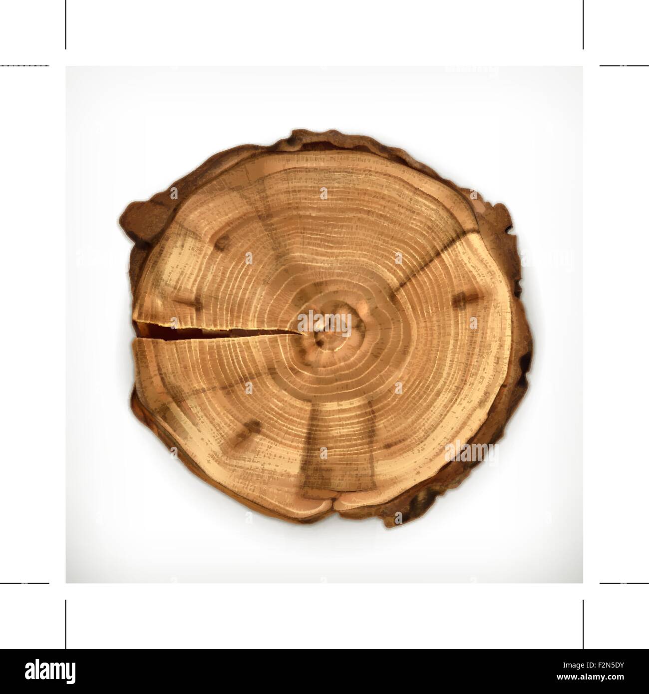 Tree rings vector vectors hi-res stock photography and images - Alamy