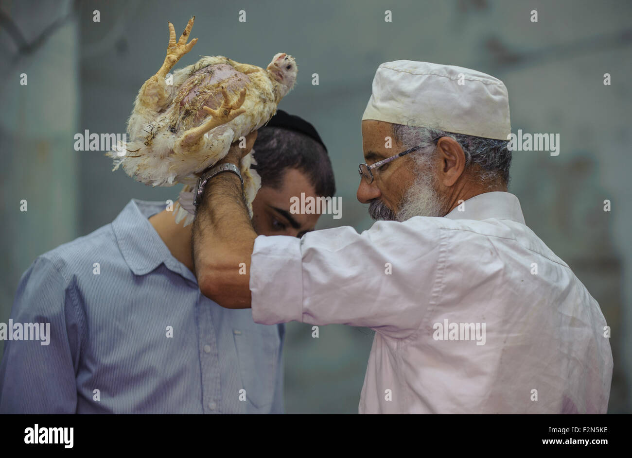(150922) -- JERUSALEM, Sept. 22, 2015 (Xinhua) -- A Jewish shochet ...