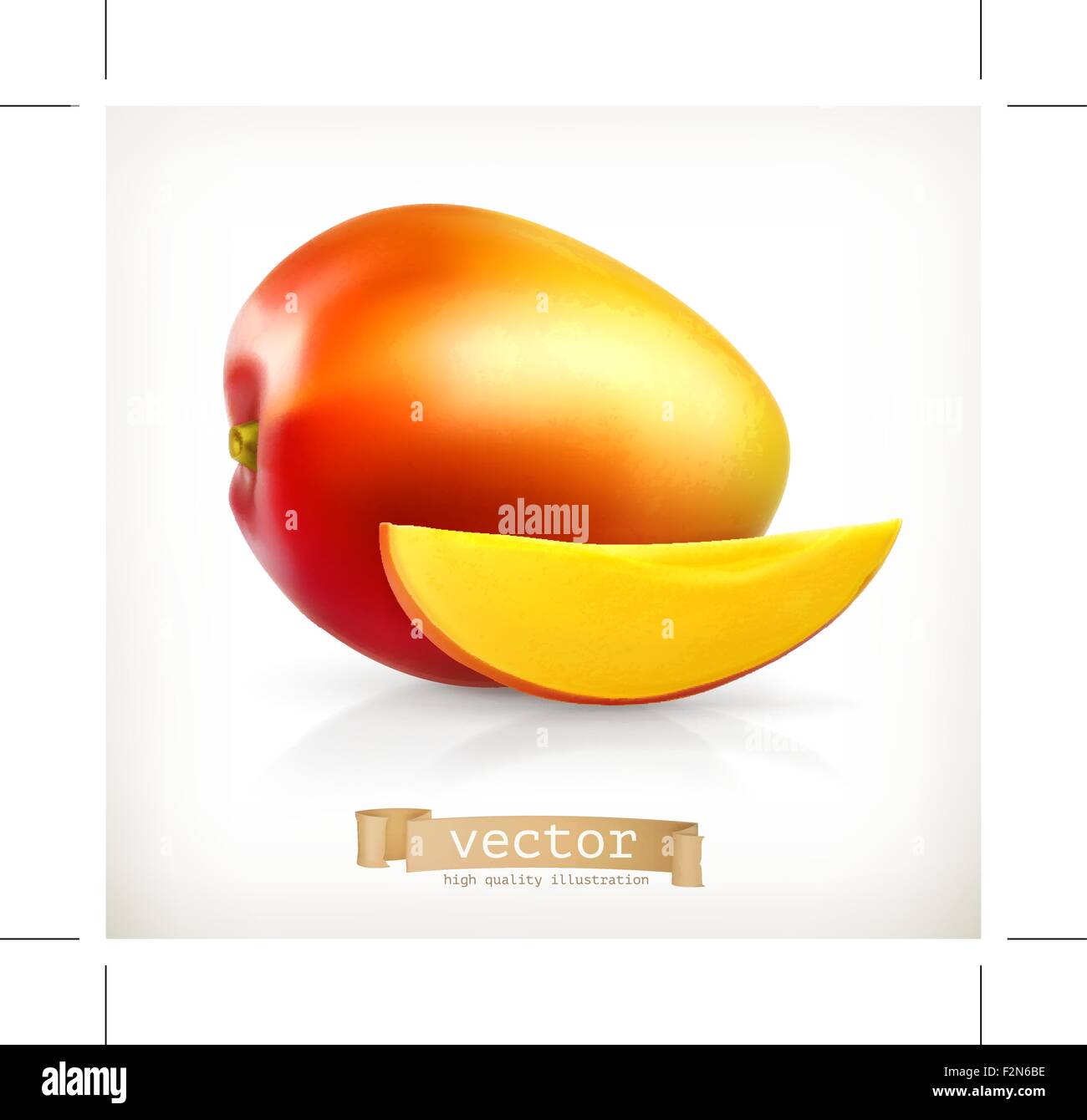Mango, vector illustration Stock Vector Image & Art - Alamy