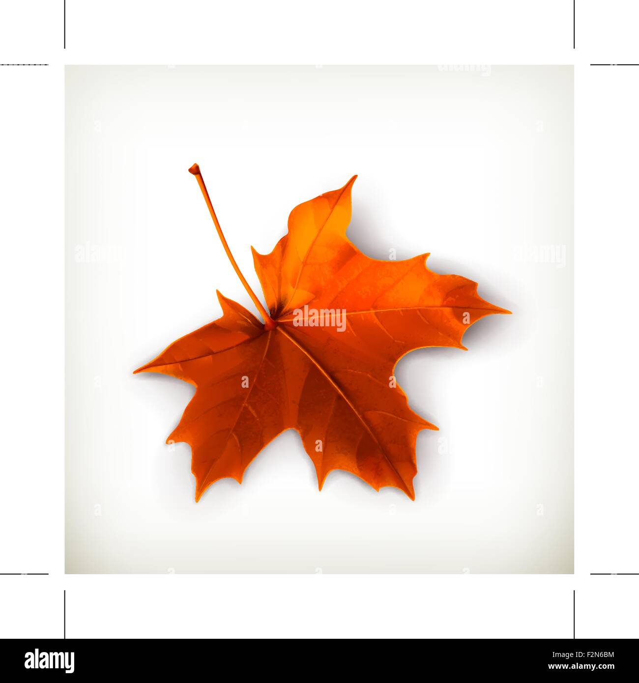 Maple leaf, vector Stock Vector Image & Art - Alamy