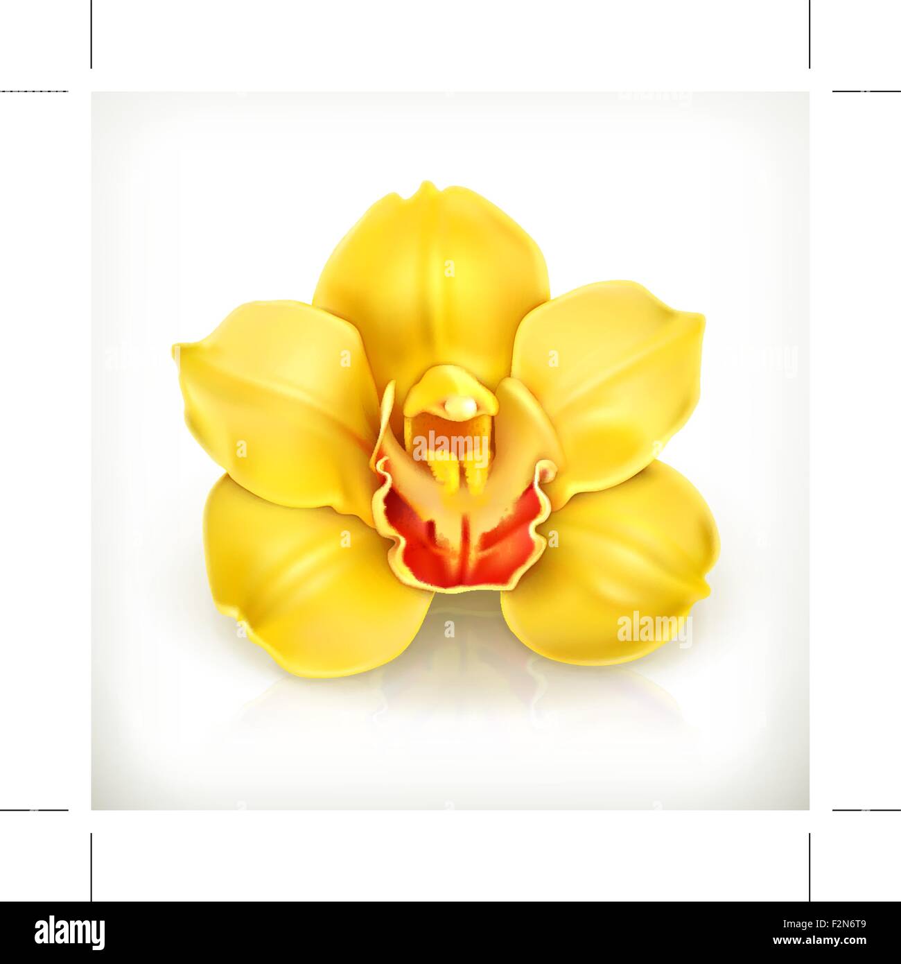 Delicate background one flower Stock Vector Images - Alamy