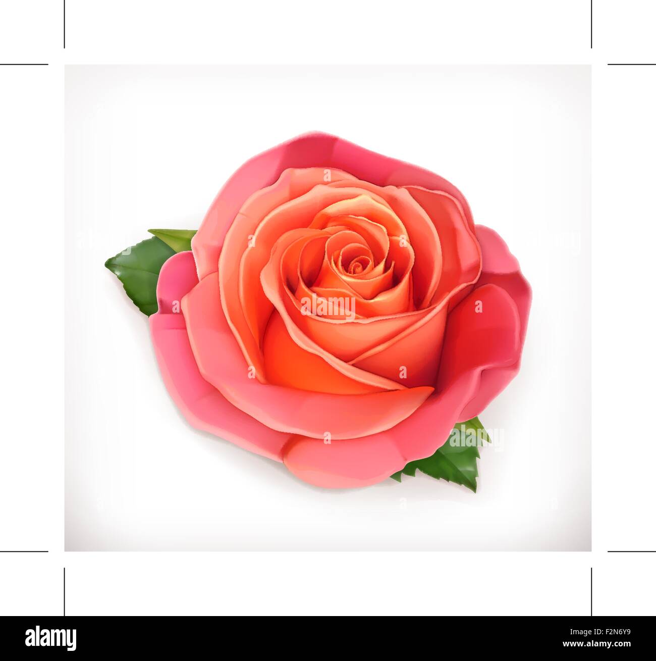 Pink rose vector illustration Stock Vector Image & Art - Alamy