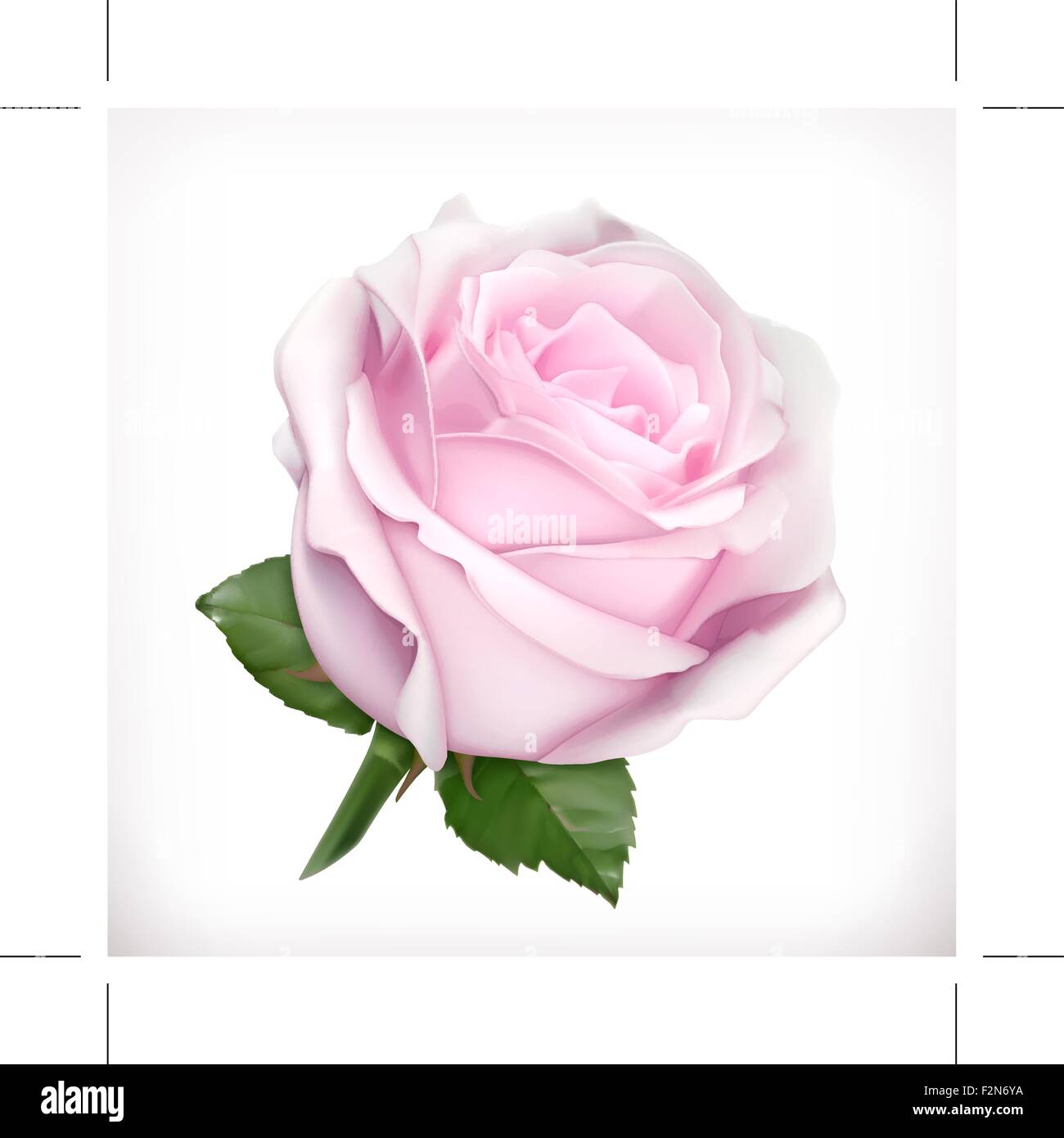 Pink rose vector illustration Stock Vector Image & Art - Alamy