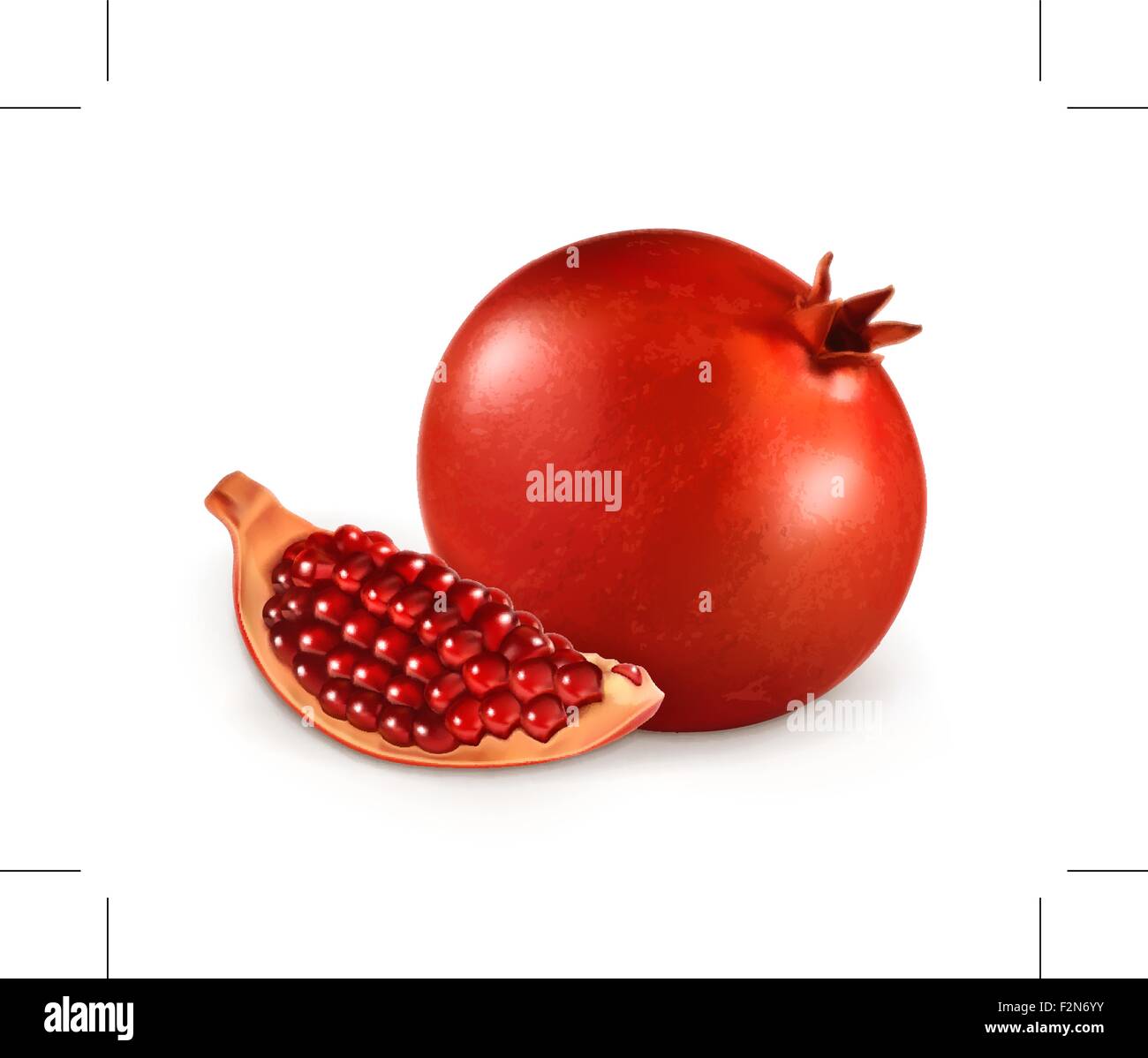 Pomegranate, vector illustration Stock Vector Image & Art - Alamy