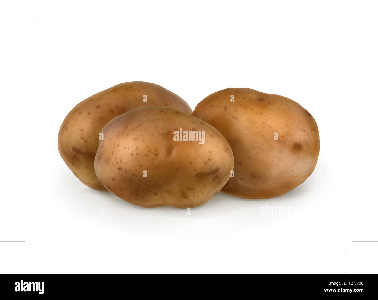 Potatoes, vector illustration Stock Vector Image & Art - Alamy