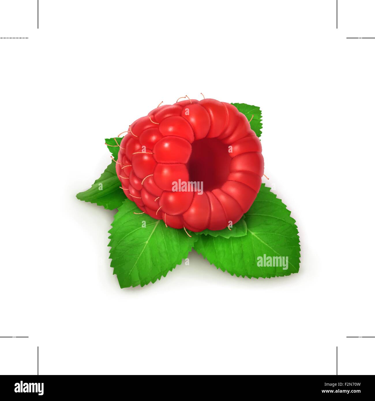 Realistic high detailed 3d Stock Vector Images - Alamy