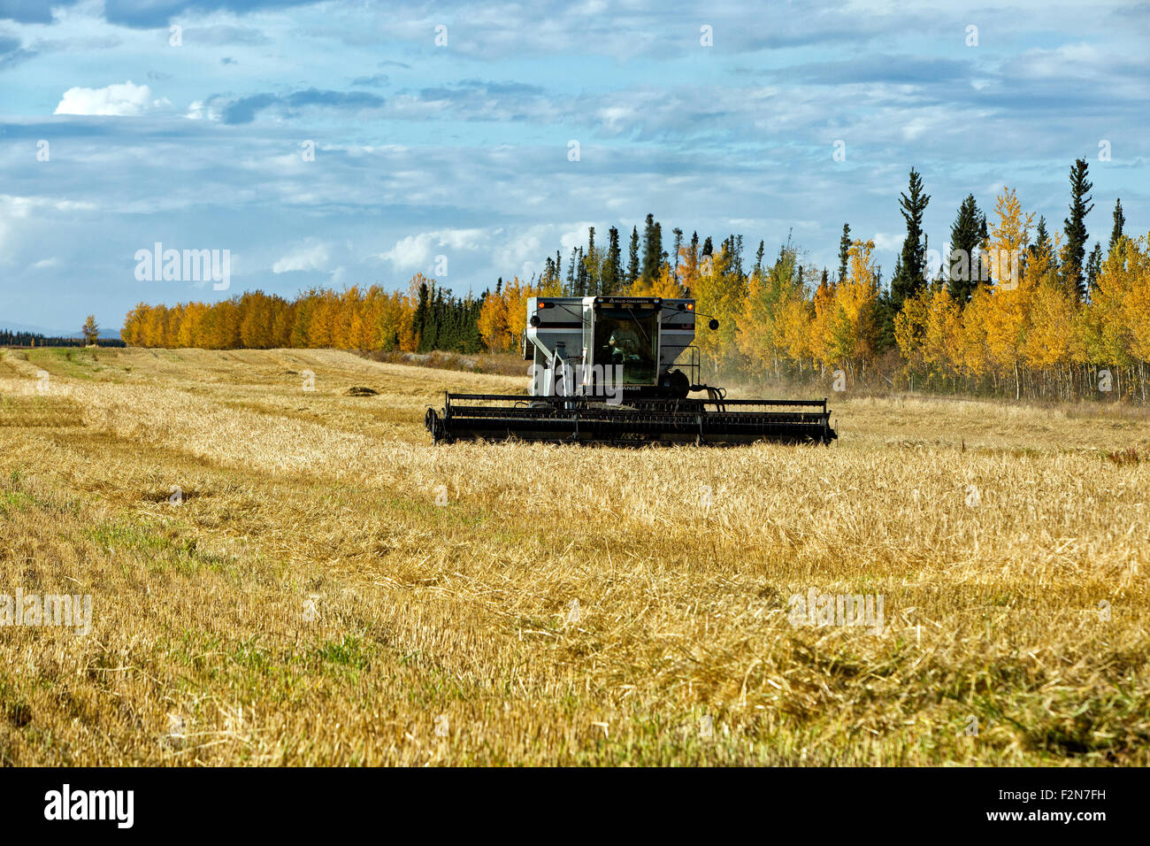 Gleaner combine hi-res stock photography and images - Alamy